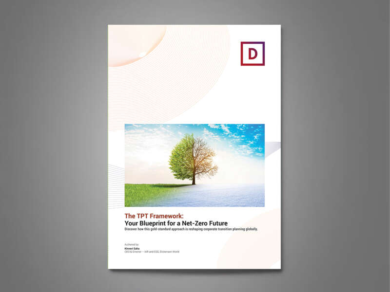 The TPT Framework - Dickenson World