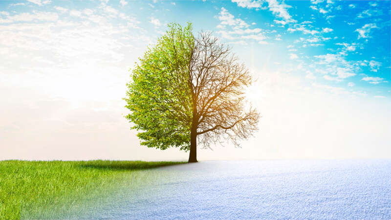 The TPT Framework - Dickenson World